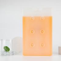 China Slim Thin Vaccine Cooler Box Cooling Plate For Constant Temperature Cool Ice Brick for sale