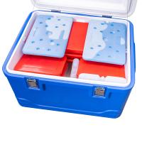 China PE Insulated Ice Pack for Cooler dry ice brick maker Sale Hard Hdpe Material Food Grade Plastic for sale