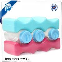 China empty ice brick HDPE Gel Ice Bricks for Cooler Box Bag Reusable and Eco-friendly for sale