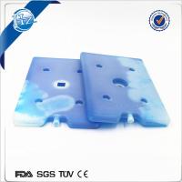China empty ice brick HDPE Gel Ice Bricks for Cooler Box Bag Reusable and Eco-friendly for sale