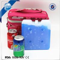 China empty ice brick HDPE Gel Ice Bricks for Cooler Box Bag Reusable and Eco-friendly for sale