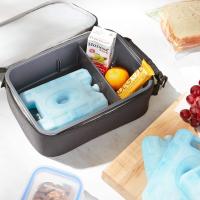 China Fresh Food Storage Cool Plate Freezer Ice Box Low Degree Centigrade freezer blocks ice brick for sale