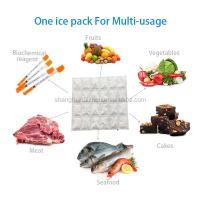 China Non-Woven Fabric Ice Gel Packs For Food Delivery Seafood Absorbing Water Dry Ice Pouches for sale