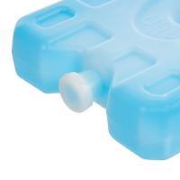 China HDPE Ice Gel Cold Pack For Cooler Picnic Camping Huge Catalog Thin Ice Brick for sale