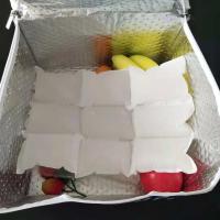 China Body Cooling Therapy Dry Ice Sheet Custom Cold Gel Pack with Low MOQ and 24 Cells for sale