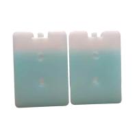 China ice brick for coolers Medical Cold Chain Insulated Cooler Box for Perishable Food Supplies Storage for sale
