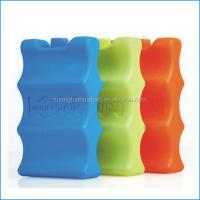 China Plastic Cooling Ice Gel Pack Cold Accumulator Brick for lunch box Freezer BPA Free Inner Material SAP for sale