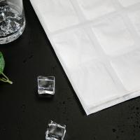 China packaged dry ice Packs  Techni Ice Sheet For Rehabilitation Therapy Supplies 19x13cm for sale