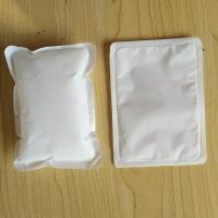 China Temperature Controlled Packaging Delivery Gel Ice Pack dry ice warning bags Rehabilitation for sale