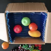 China Customized Dry Ice Pack Insulated Gel Cooler Bag for Food and Water Freshness for sale