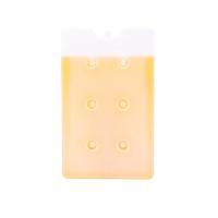 China Food Large HDPE GEL Brick for Cool Cooler Slim Frozen ice pack brick Insulated Lunch Box for sale