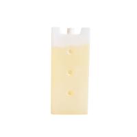 China 30x17x2.5cm Insulated PCM Gel Ice Pack Cooler for Food Storage  medium ice brick for sale