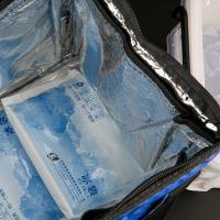 China Portable Medical Cooler Box Insulated Medicine Cold Box Transport Cooler Delivery Bag for sale