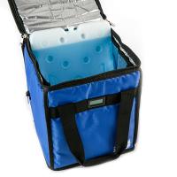 China Portable Medical Cooler Box Insulated Medicine Cold Box Transport Cooler Delivery Bag for sale