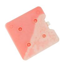 China small ice brick Food Grade Cooling Gel Eutectic Plate for Frozen Food Insulated Lunch Ice Pack for sale