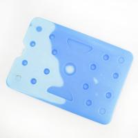 China small ice brick Food Grade Cooling Gel Eutectic Plate for Frozen Food Insulated Lunch Ice Pack for sale