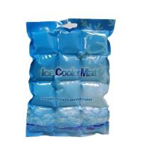 China Easy to Clean Material Custom Size Non-Leakage Gel Ice Pack for Meat Cold Storage for sale