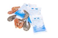 China Custom Order Accepted Reusable Water Injection Type Ice Pack for Outdoor Camping Food for sale