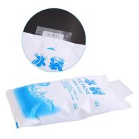 China PE Injection Water Custom Cool Ice Bag Pack for Food and Drink Supply Chain Delivery for sale