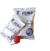 China Fozen Food Storage Freezer Pack Cold Gel Ice Pack For Shipping Comfort Blood Transport Case for sale