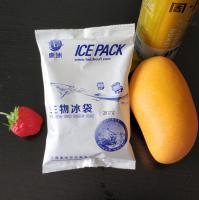 China Fozen Food Storage Freezer Pack Cold Gel Ice Pack For Shipping Comfort Blood Transport Case for sale