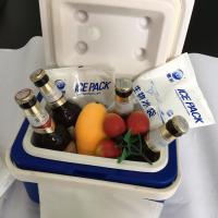 China Cool Custom Gel Ice Packs Viscous Gel Moisture  Refrigerant Cold Ice Packs For Food Shipping Delivery for sale