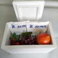 China Cool Custom Gel Ice Packs Viscous Gel Moisture  Refrigerant Cold Ice Packs For Food Shipping Delivery for sale