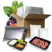 China Cool Custom Gel Ice Packs Viscous Gel Moisture  Refrigerant Cold Ice Packs For Food Shipping Delivery for sale