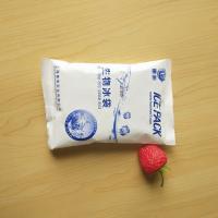 China Insulated Dry Cold Ice Pack Reusable Gel Ice Bag For Food Chilled Shipping for sale