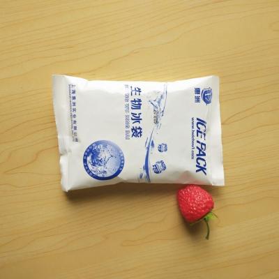 China Insulated Dry Cold Ice Pack Reusable Gel Ice Bag For Food Chilled Shipping for sale