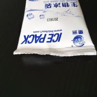China Insulated Dry Cold Ice Pack Reusable Gel Ice Bag For Food Chilled Shipping for sale