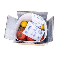 China Cool Box Gel Ice Pack Bag Cooler For Eyes Face Cooling Solution Food Storage Cooler Box for sale