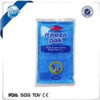 China Mini Gel Cooling Pack Food Transport Ice Gel Pack For Back Pain Picnic Ice Cooler for sale