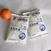 China Cold Chain Packaging Biodegradable Ice Pack Gel Bag Cold Pack For Insulated Cooler Freeze Packs for sale
