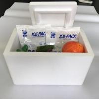 China Cold Chain Packaging Biodegradable Ice Pack Gel Bag Cold Pack For Insulated Cooler Freeze Packs for sale