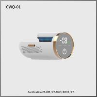 China Mini Ozone Generator Air Purifier Sterilizer For Deodorization for sale