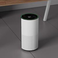 China Whole House Ozone Hepa Air Cleaner With Activated Charcoal Filter for sale