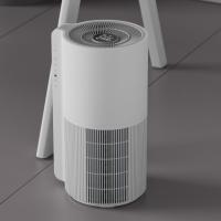 China Small Particulate Hepa Filter Air Purifier For Purification Disinfection for sale