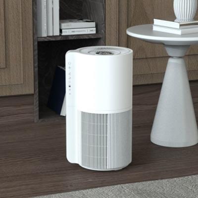 China OEM Manufacturer of Home Air Purifier True Hepa Filter for Dust and smoke for sale