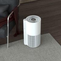 China Hepa Room Air Purifier For 38m2 Bedroom Pollen Smoke Removal for sale
