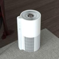 China Natural Negative Ion H13 Home Air Purifier For Home Rooms for sale