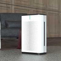 China Home H13 Hepa DC Motor Air Purifiers For Mold , Plasma Air Purification for sale