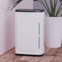 China Whole Home Stand Up True Hepa Home Air Purifiers UVC Sterilization for sale