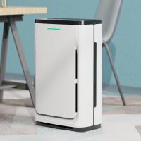 China Anion Room UV Light True Hepa Filter Air Purifier Y24B Bedroom for sale