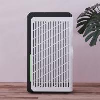 China High Efficiency True Hepa UV Air Purifier Sterilization With 2.5L Humidifier for sale