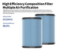China Indoor Negative Ion Smart Room True Hepa UV Air Purifier Remove Dust And Smell for sale
