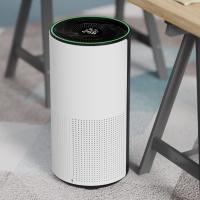 China PM2.5 Negative Ion Home Air Purifiers True Hepa Filter Removes viruses for sale