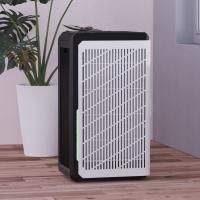 China Large Room True Hepa Filter Air Purifier And Humidifier Combo For Mold for sale
