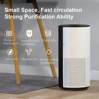 China House Child Lock Room Hepa Air Purifier With LED Touchscreen Display for sale