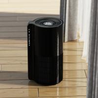 China Health Care Room Portable WiFi Air Purifier Hepa Filter Home Appliances for sale